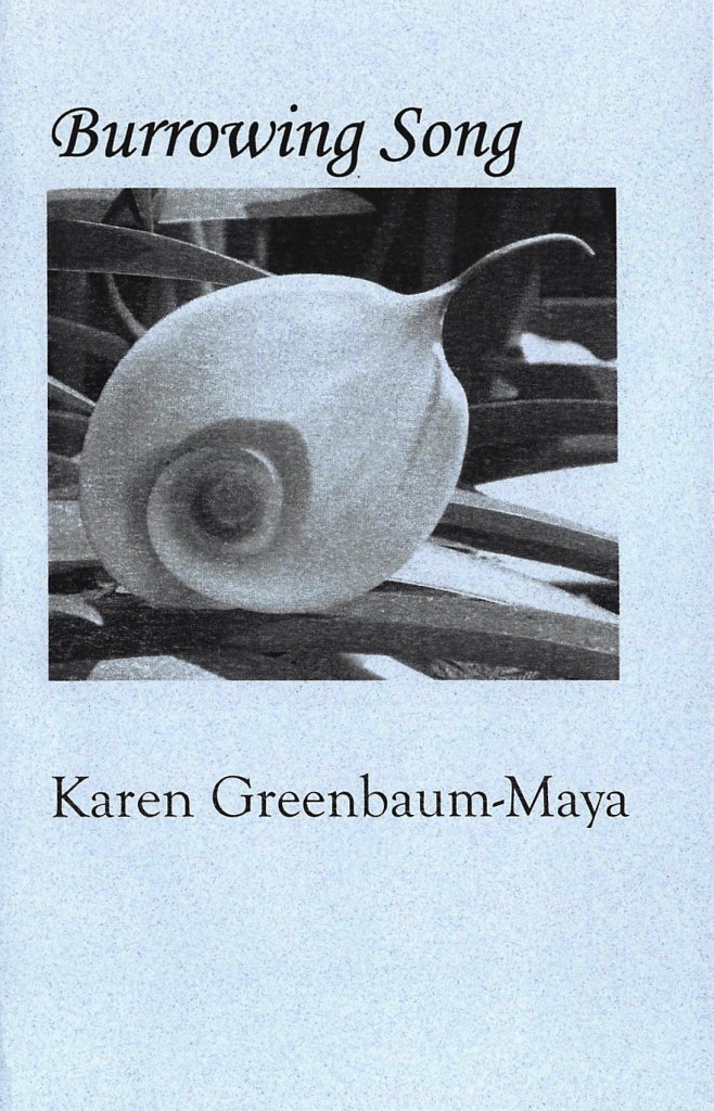 Burrowing Song, by Karen Greenbaum-Maya – Kattywompus Press
