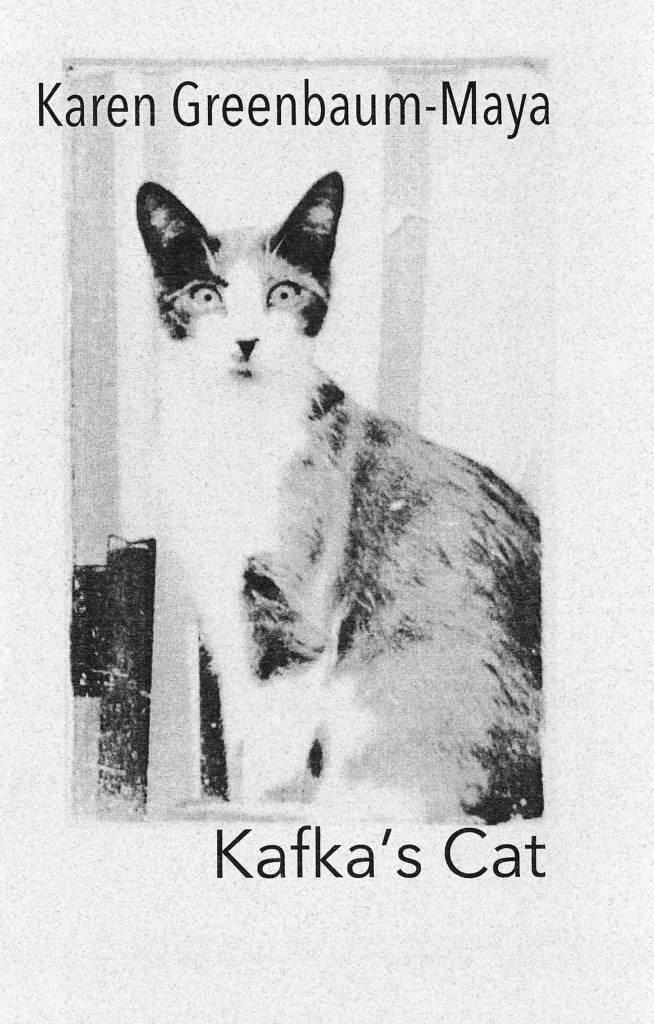 Kafka’s Cat, by Karen Greenbaum-Maya – Kattywompus Press